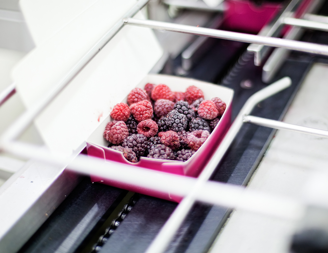 Livsmedelsgas - Strandmöllen AB